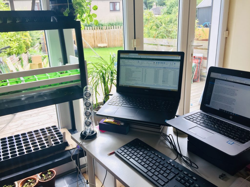 Body Language: movement, dance and physical education in Scotland, 1890 ...