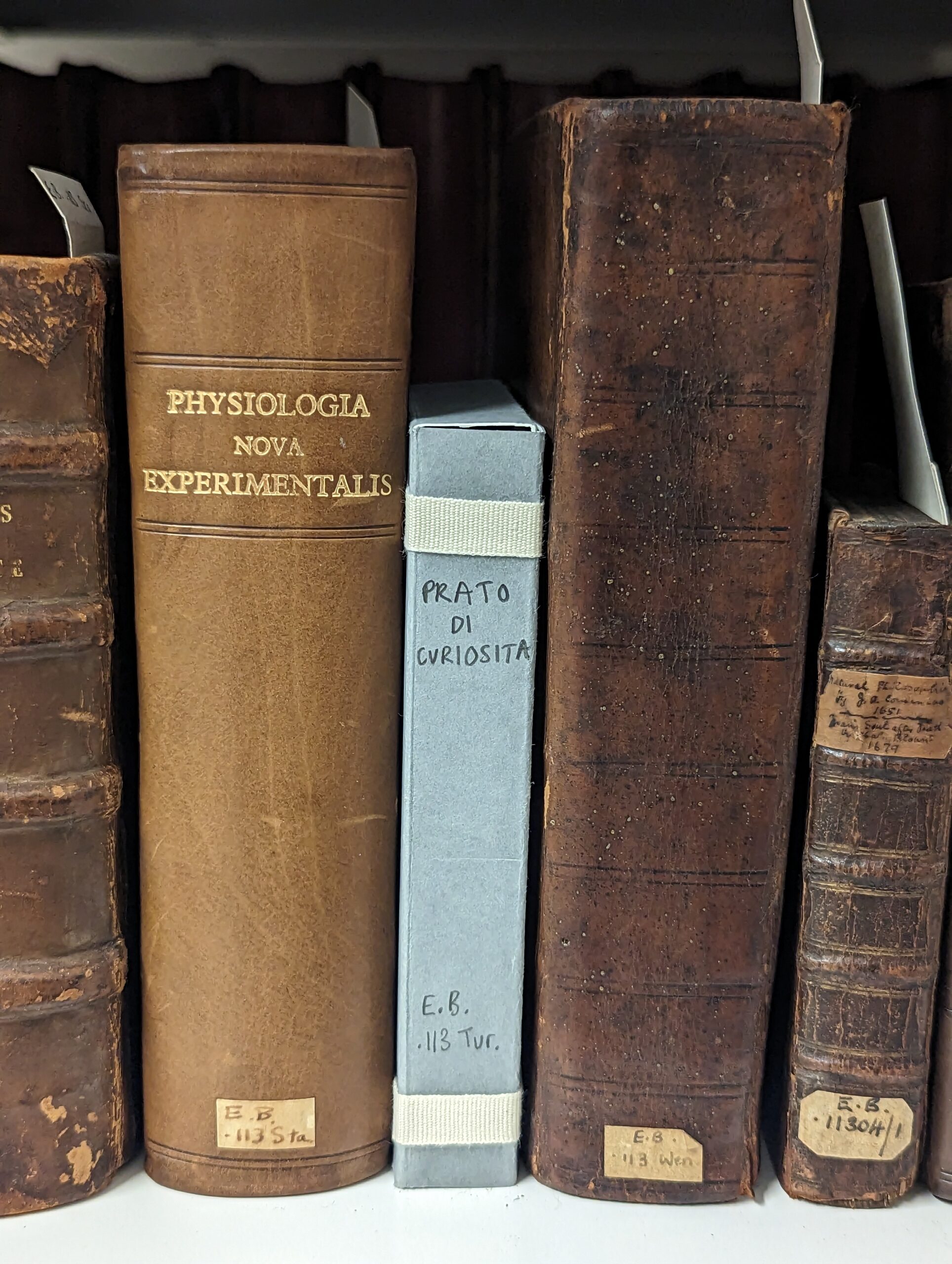 Preservation Perspectives | The University of Edinburgh's conservation ...