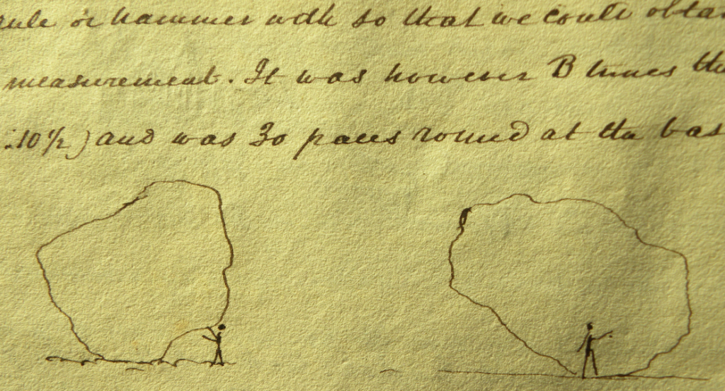 Bicentennial of the birth of Professor Edward Forbes (1815-1854 ...