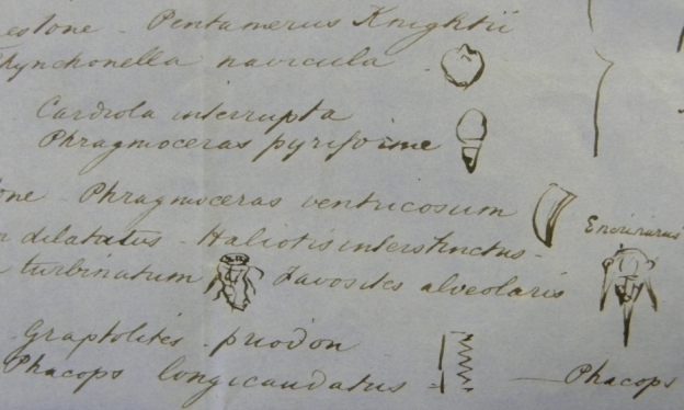 Bicentennial of the birth of Professor Edward Forbes (1815-1854 ...