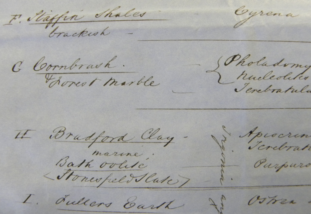 Bicentennial of the birth of Professor Edward Forbes (1815-1854 ...