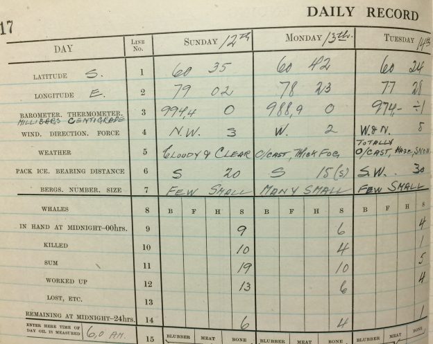 A narrative on the whaling industry: as told through a whale catch log ...