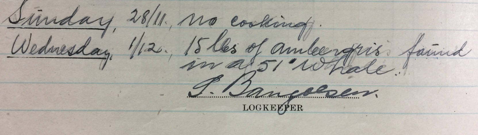 A narrative on the whaling industry: as told through a whale catch log ...