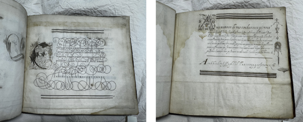 The Art of Writing: A Journey Through Handwriting Evolution and ...