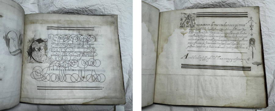 The Art of Writing: A Journey Through Handwriting Evolution and ...