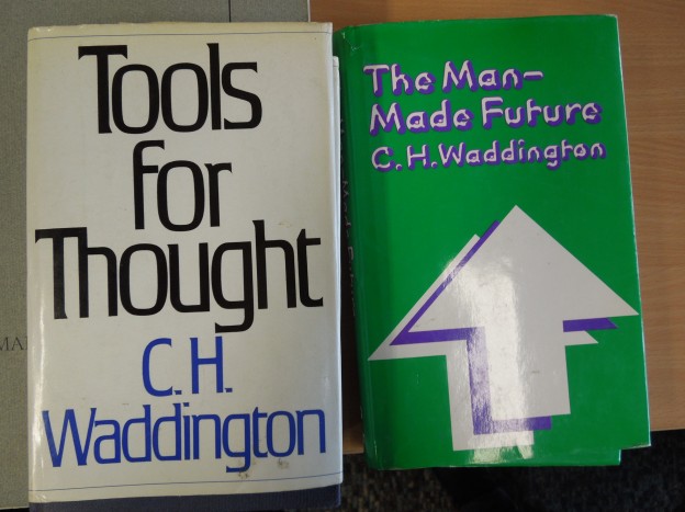 Tools for Thoughts Manmade Future books | Towards Dolly