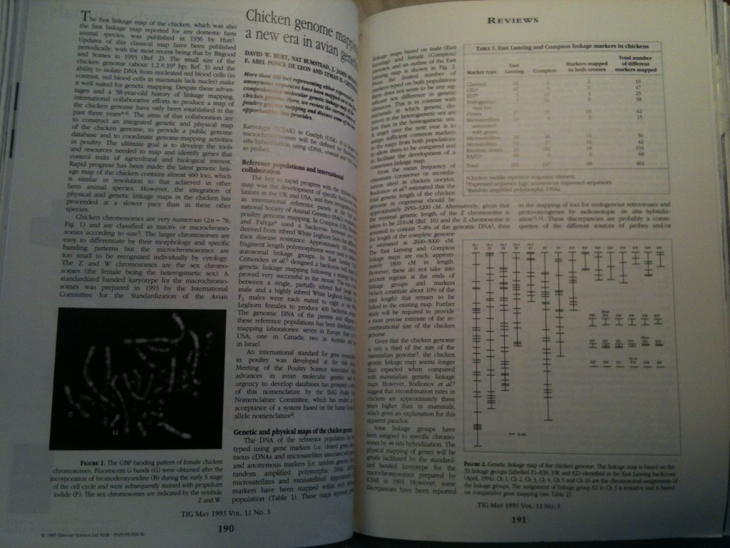 roslin institute | Towards Dolly