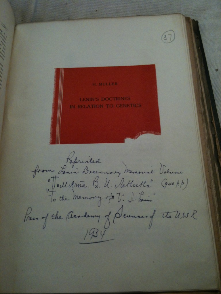 Hermann J Muller (1890-1967), American Geneticist: Radiation and ...