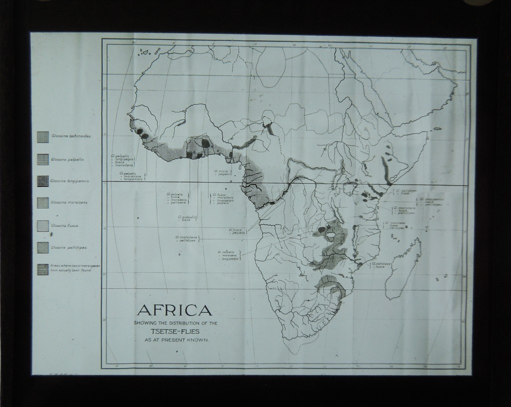 Tsetse Fly Locations Map