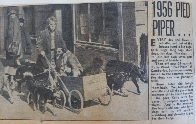 The History of Vivisection | Library & University Collections