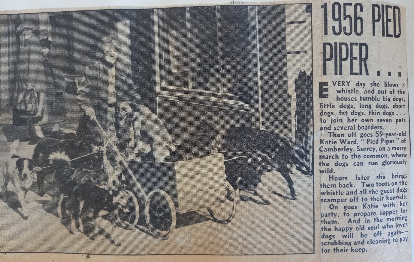 The History of Vivisection | Library & University Collections
